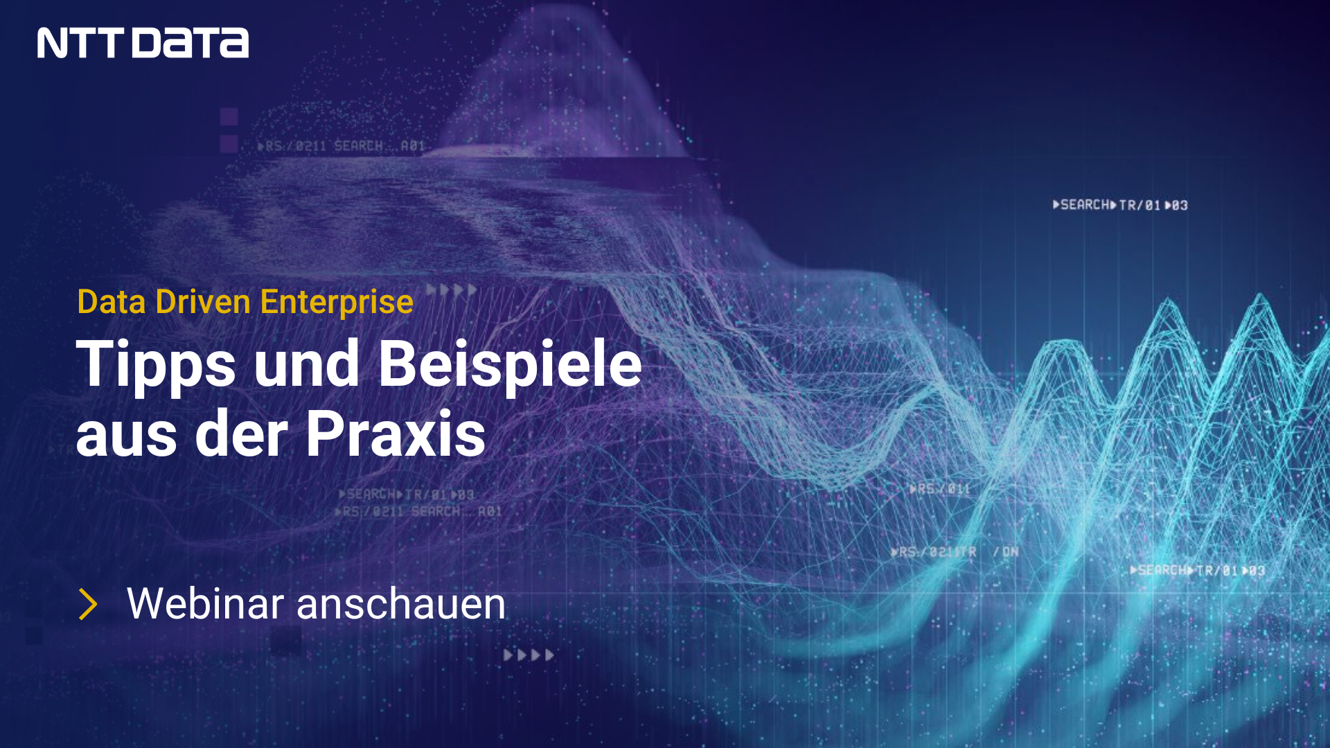 Webinar: Data Driven Enterprise - so geht’s!
